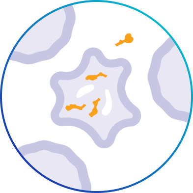 What is DATROWAY® (datopotamab deruxtecan-dlnk)?