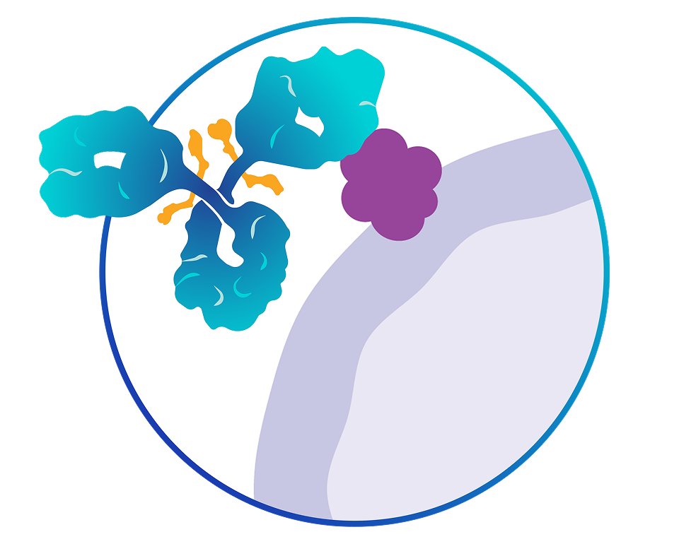 How DATROWAY® May Work | DATROWAY® (datopotamab deruxtecan-dlnk)
